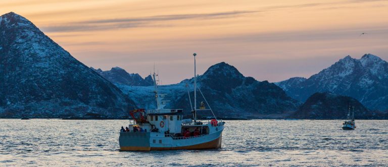 Norwegian Skrei Cod: A Seasonal Sensation - Norwegian Seafood Group